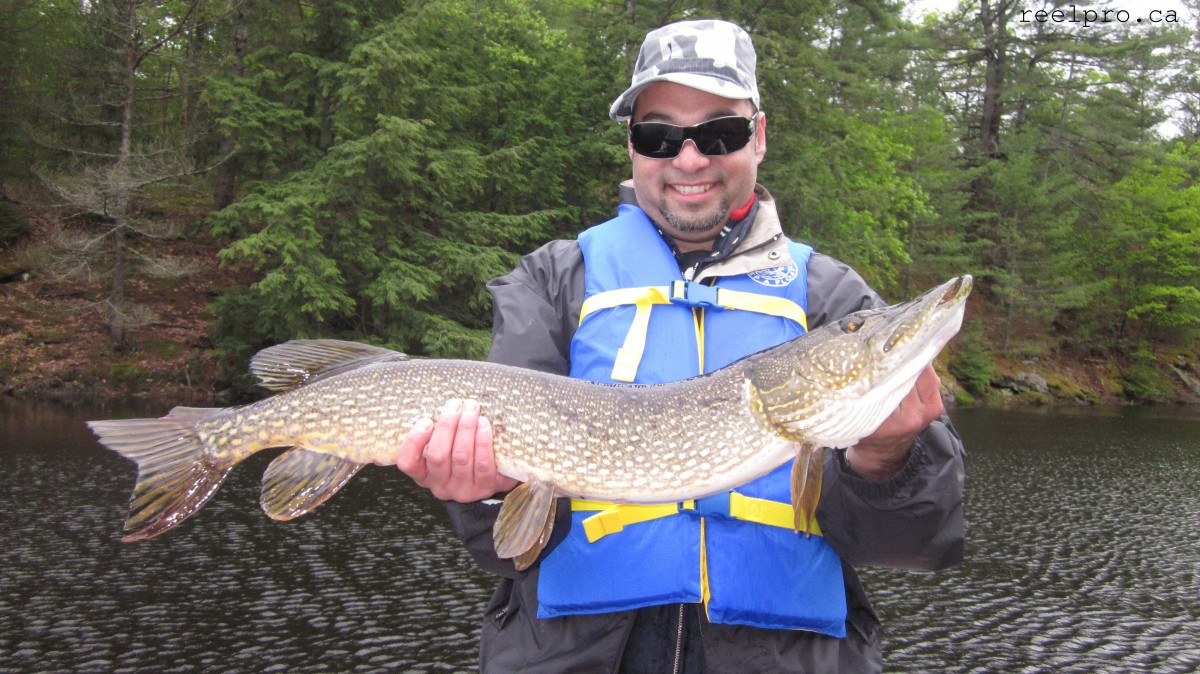 Spring Fishing in Muskoka