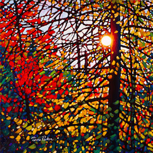 Eclipse Art Gallery - The Great Canadian Wilderness