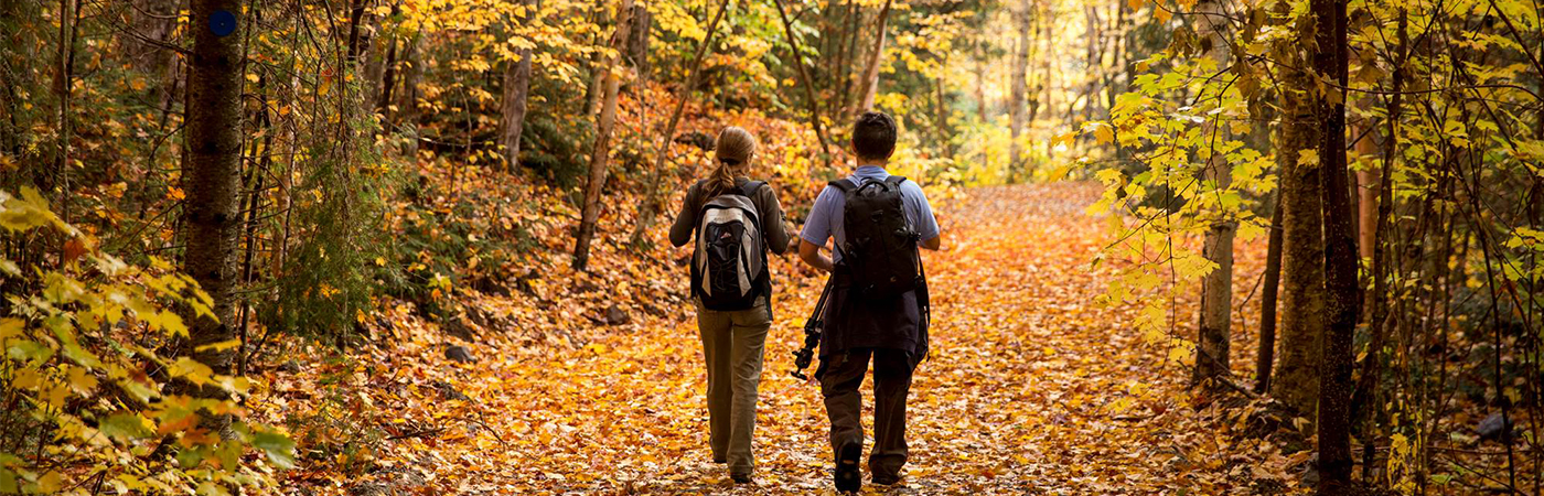 fall walk - The Great Canadian Wilderness