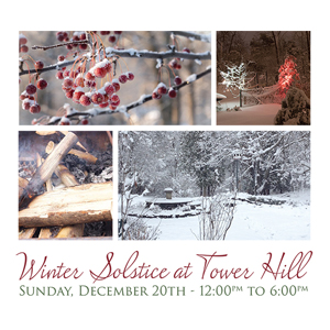 winter solstice at tower hill - The Great Canadian Wilderness