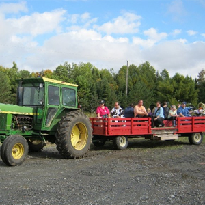 fall harvest festival - The Great Canadian Wilderness
