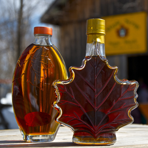 maple syrup - The Great Canadian Wilderness