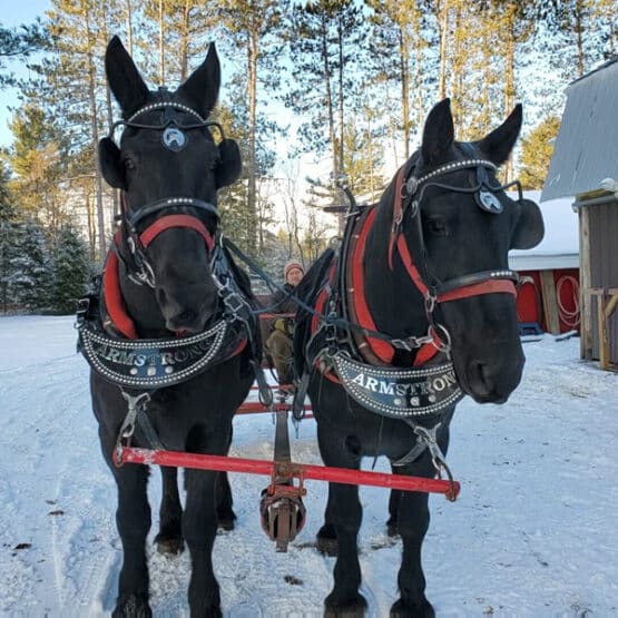 Armstrong's Thunder Ridge Farm - The Great Canadian Wilderness