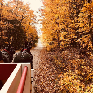 Armstrong's Thunder Ridge Farm - The Great Canadian Wilderness