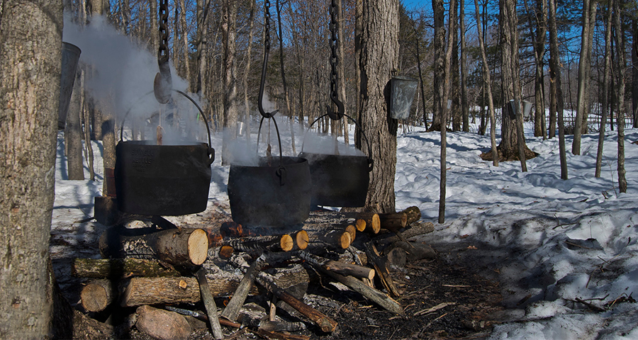 maple syrup boil - The Great Canadian Wilderness