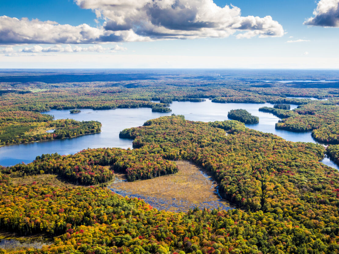 Home - The Great Canadian Wilderness