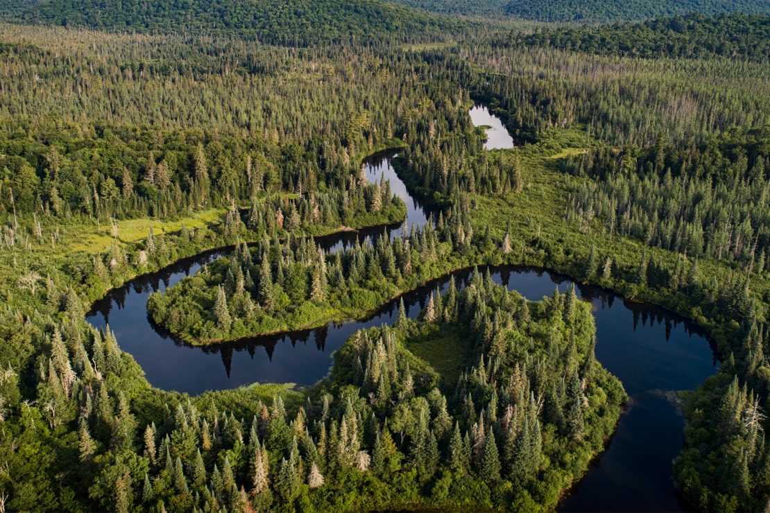 Contact Us - The Great Canadian Wilderness