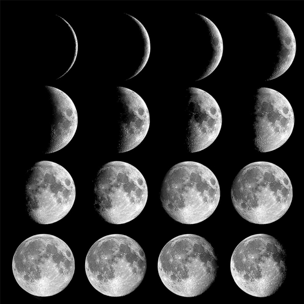 13 Moons - The Great Canadian Wilderness