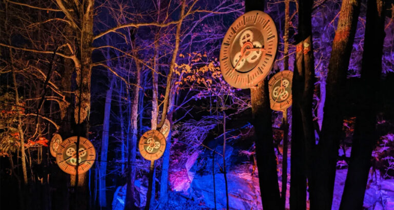 Winter Spotlight on the Great Canadian Wilderness North of Toronto