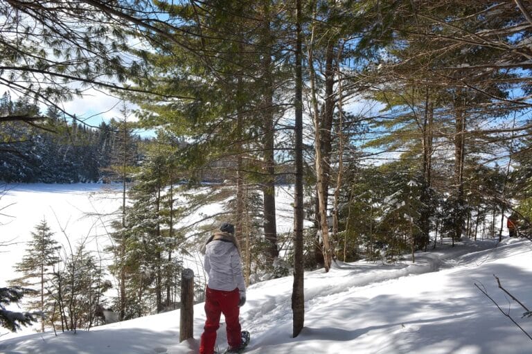 Home - The Great Canadian Wilderness