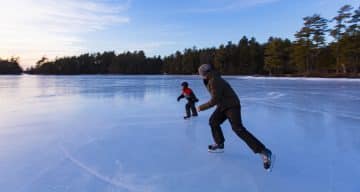 Winter Spotlight on the Great Canadian Wilderness North of Toronto