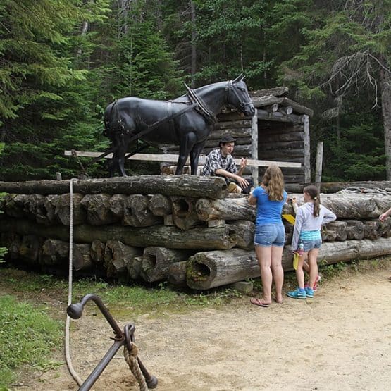 Loggers Day in Algonquin Park - The Great Canadian Wilderness